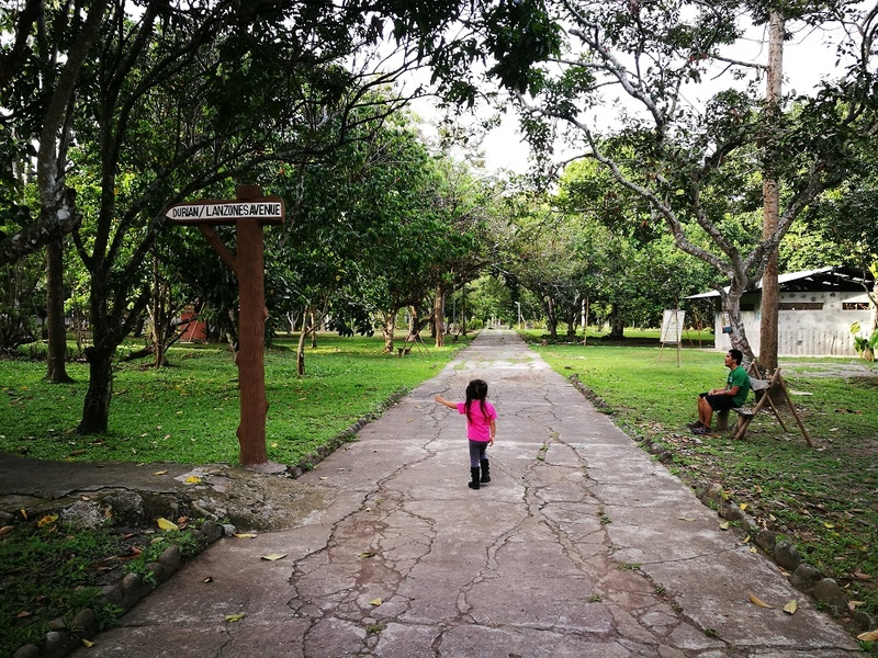 When in Davao City: GAP Farming Resort - Hey, Miss Adventures!