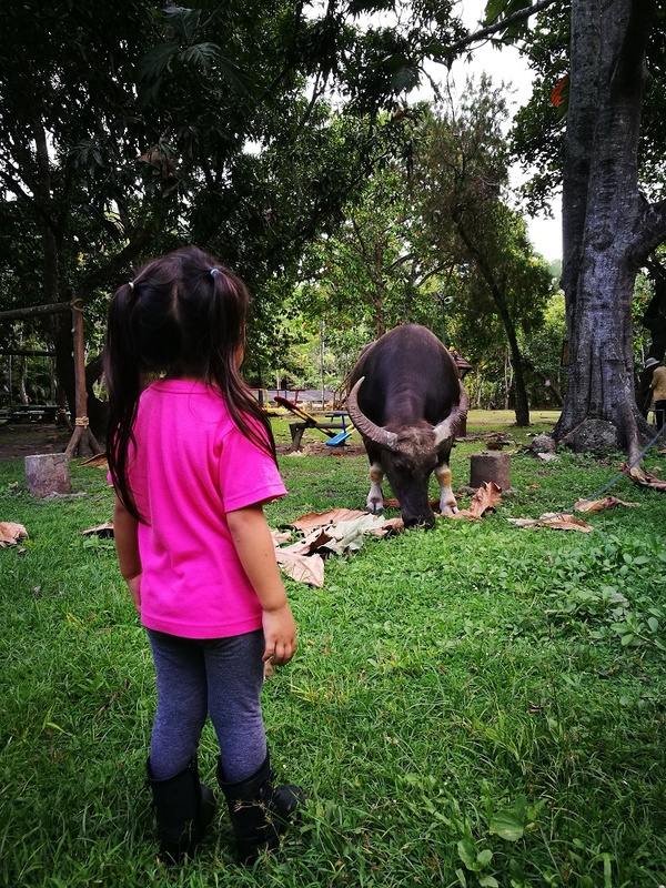 When in Davao City: GAP Farming Resort - Hey, Miss Adventures!